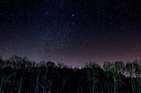 Wallpaper Starry Sky Trees Night Shine Hd Widescreen High