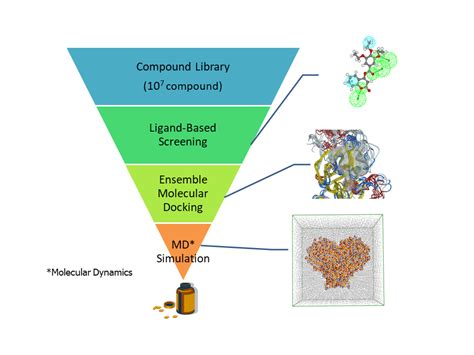 Molecular Simulation｜riken Program For Drug Discovery And Medical