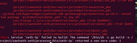 i made build sawtooth seth with the command docker compose up build