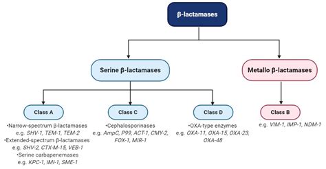 Emerging Strategies To Combat β Lactamase Producing Eskape Pathogens