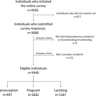 Flowchart For Sample Selection Download Scientific Diagram