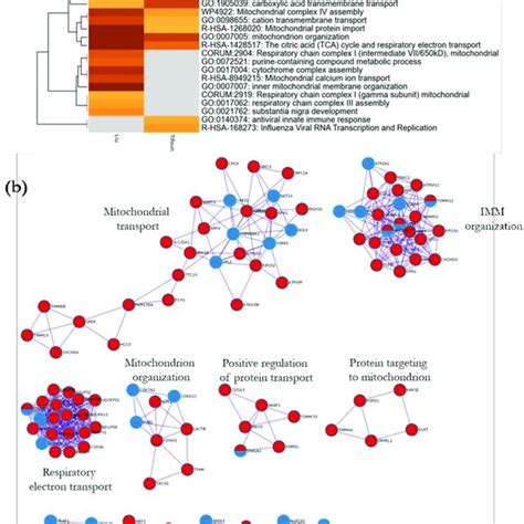 Visualization Of The Meta Analysis Results Based On The Two Lists Of Download Scientific