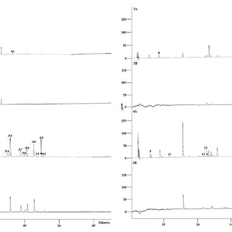 Online High Performance Liquid Chromatography With Diode Array Download Scientific Diagram