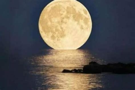 Mahamudra Elixir I Nature Of The Dynamic Mind Ocean