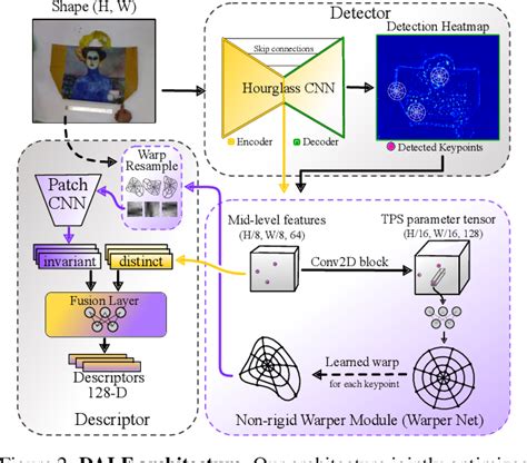 figure 1 from enhancing deformable local features by jointly learning