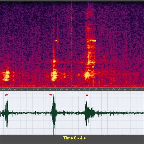 spectrogram and time display of seven woop signals w1 1 w1 7 time