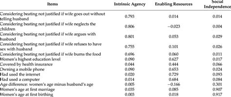 Principal Component Analysis Rotated Factor Loadings N 12 784