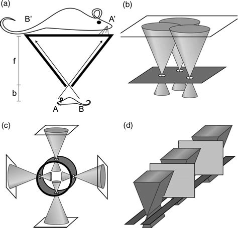 Schémas Illustrant Les Différents Types De Collimation En Imagerie Temp Download Scientific