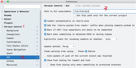 Macos Intelij Idea配置git在macos Inter芯片上本地搭建git Csdn博客