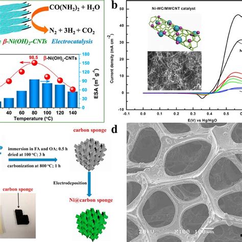 A Schematic Illustration Of Om Nio Nanosheets Grown On 3d Macroporous