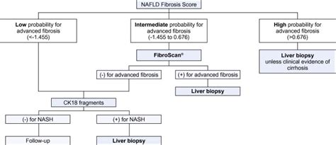 Algorithm For Decision When To Perform Liver Biopsy The Most