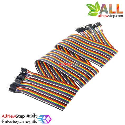 สายไฟ จัมเปอร์ ผู้ ผู้ Jumper Wire สายแพ ผู้ ผู้ ยาว 80cm 40 เส้น