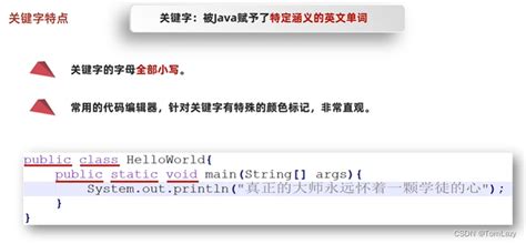 【java基础】002 Java基础概念（注释and关键字and字面量and变量）java关键字和字面量 Csdn博客