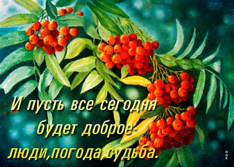 Хорошая открытка И пусть все сегодня будет доброе!- Скачать бесплатно ...