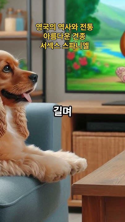 영국의 역사와 전통 아름다운 견종 서섹스 스파니엘 반려견 행복 댕댕이 Youtube