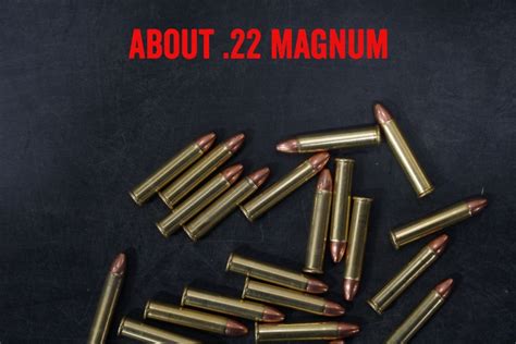 About 22 Magnum True Shot Ammo