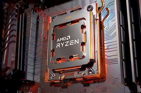 daftar processor amd socket am5 computory