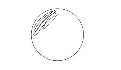 How To Quadrant Streak For Isolation 9 Steps With Pictures