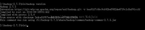 hadoop 2 7 3 在windows环境下安装（无需cygwin） windows安装hadoop2 7 3 csdn博客
