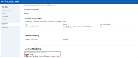 Creating Patch Job For Mac Assets