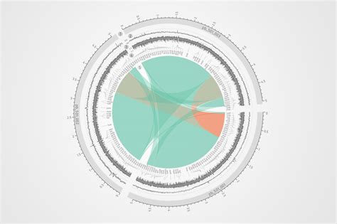 Beautiful Circos Plots In R Rmf