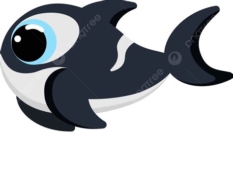 Killer Whale Flat Vector Killer Whale Colorful Face Vector Killer