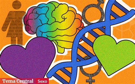 Sexo Género Y Por Qué Tenemos Que Diferenciarlos
