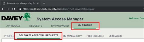 Delegate Approvals System Access Manager