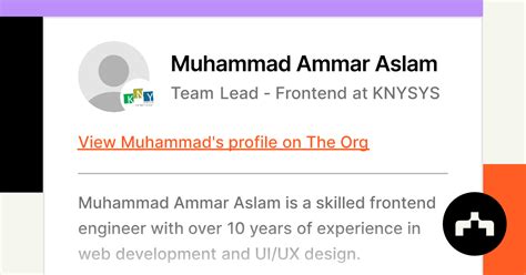 muhammad ammar aslam team lead frontend at knysys the org