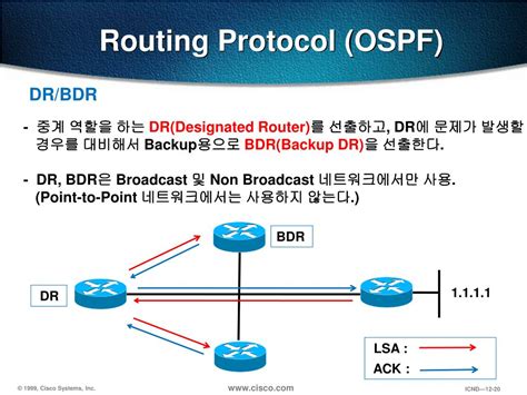 Ospf Protocol