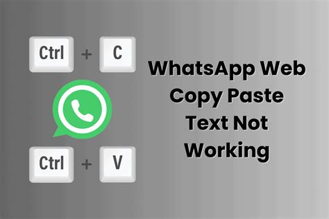 fix whatsapp web copy paste text not working techcult