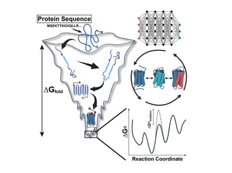 speach af sampling protein ensembles and conformational heterogeneity
