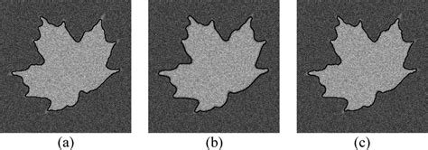 Segmentation Of The Leaf Image Using The Ftc And B Spline Level Set Download Scientific Diagram