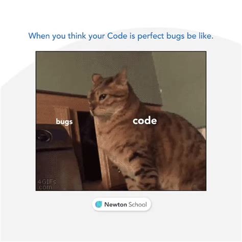 newton school on linkedin programmingpuns codingmemes