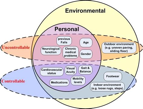 Categories Of Common Reasons Causing Falls Download Scientific Diagram