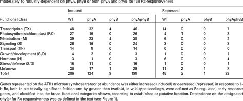 Table 1 From Phya Dominates In Transduction Of Red Light Signals To Rapidly Responding Genes At