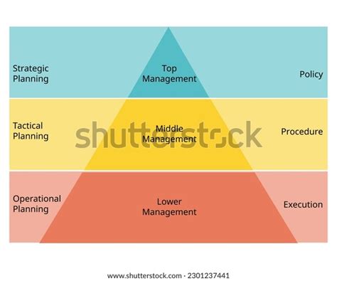 Management Pyramid Type Management Structures Hierarchy Stock Vector Royalty Free 2301237441