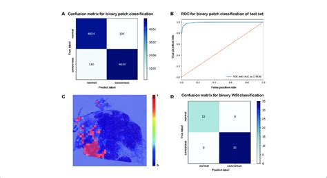 Results Of The Patch Level Classification For The Test Data A