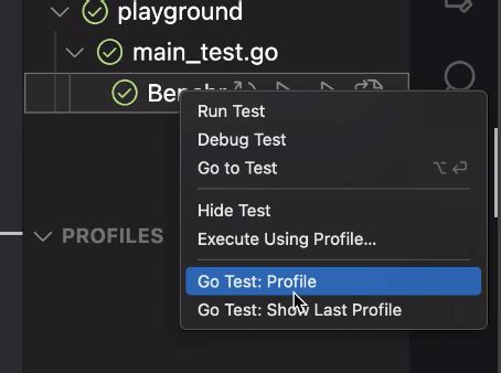 X Tools Gopls Support Profiling Tests With Multiple Types Of Profiles At Once Issue