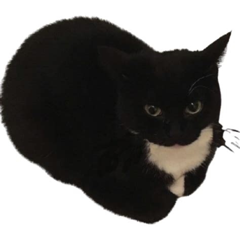 Cat Industrialist Wiki