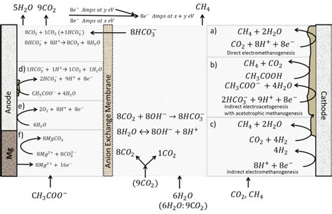Bioelectrochemical Cell System Mass And Energy Flow Diagram Brown Film Download Scientific