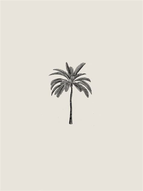 Palm Tree Sam Scales Palm Tattoos Palm Tree Tattoo Palm Tree Drawing