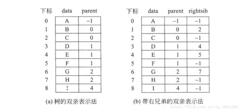 数据结构详解——树（c 实现） c 树 csdn博客