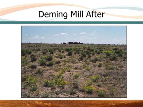 Reclamation Examples Before And After