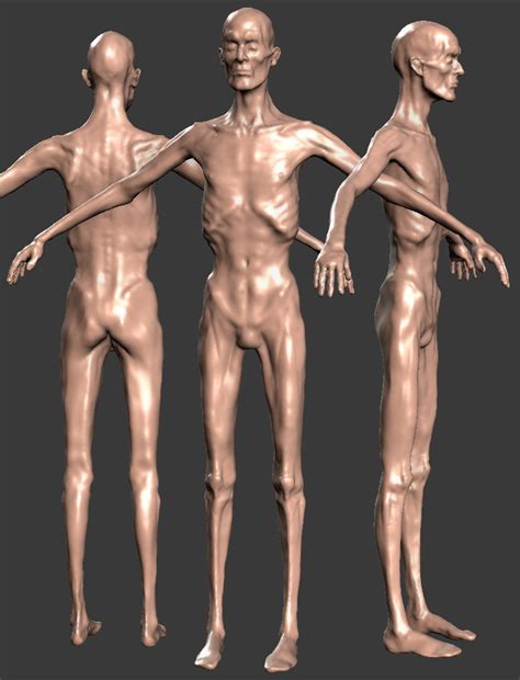 Human Proportions Nudity Page Works In Progress Blender Artists Community