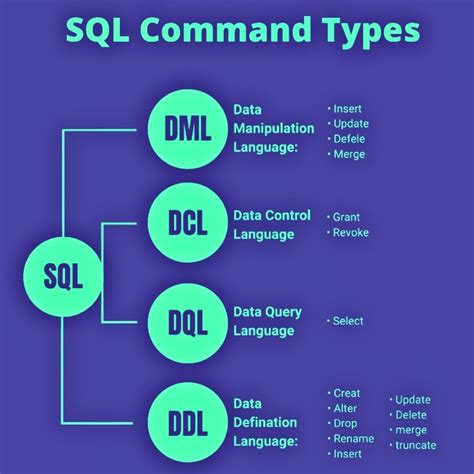Sql Command Types Lucian Moise
