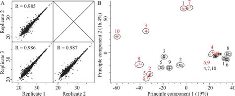 Proteomics Data Veri Fi Cation A Representative Scatter Plot Of The