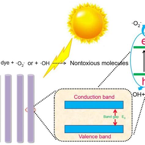Ftir Spectra Of Copper Ii Hydroxide Nano Particles Download Scientific Diagram