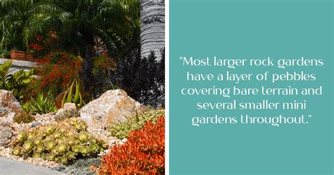 How To Design A Succulent Rock Garden OC Succulents