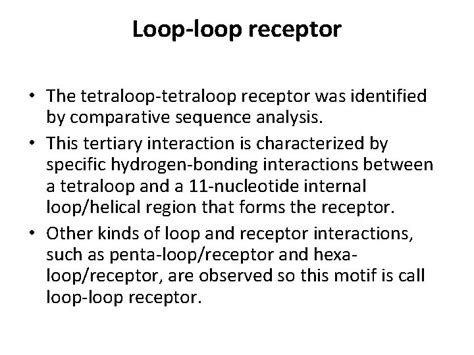 RNA Tertiary Structure Additional Motifs Of Tertiary Structure